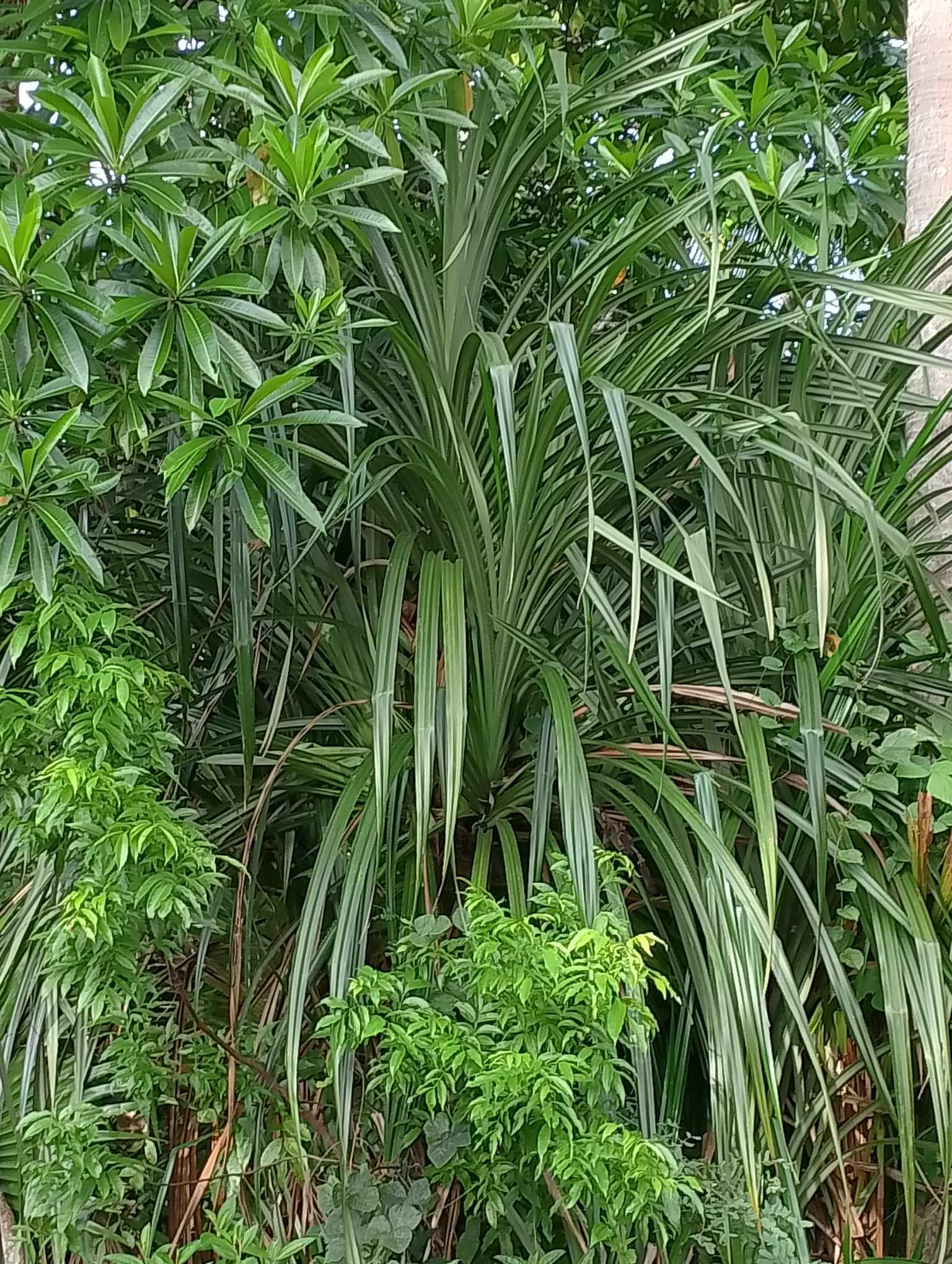 PRODUCTS - Keig Corporation